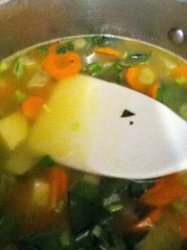 a French cream of vegetable soup recipe will bring some warmth in winter